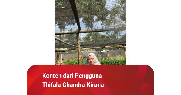 Mahasiswa KKN BTV III UNEJ Menerapkan Inovasi Digital Marketing Pada ... Mahasiswa KKN BTV III UNEJ Menerapkan Inovasi Digital Marketing Pada ...